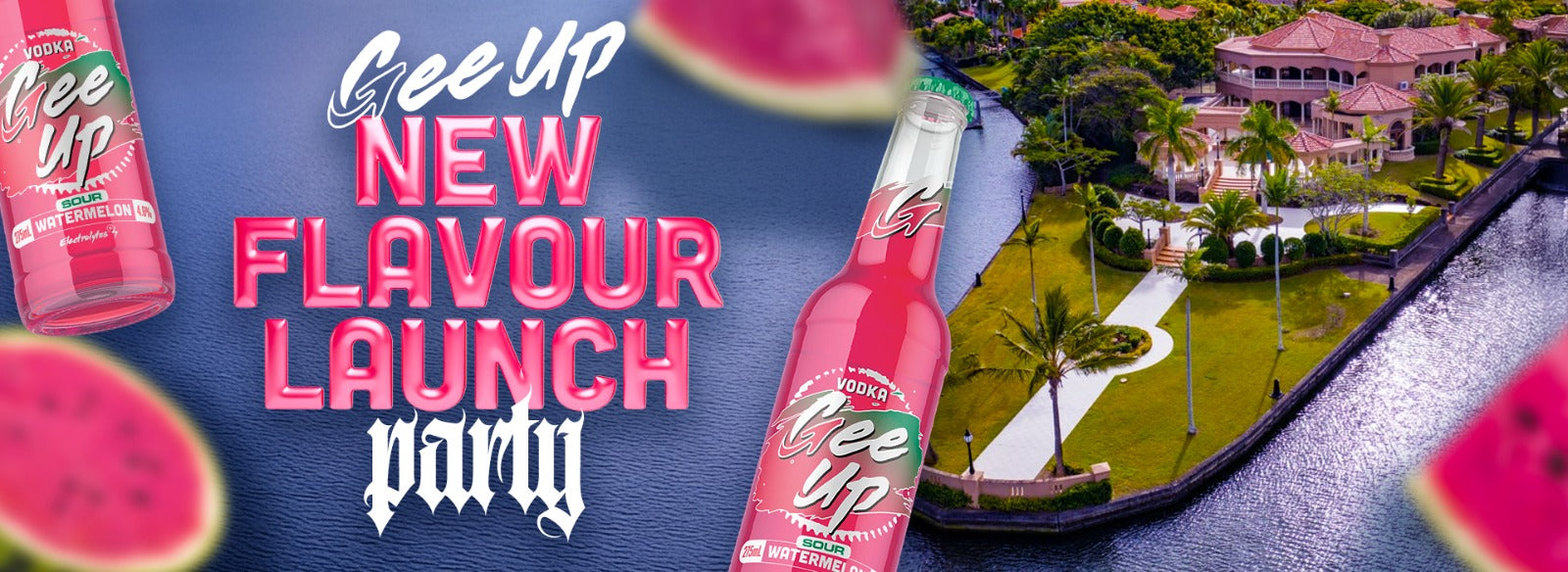 Watermelon Party RSVP – Lets Gee Up